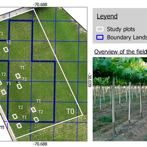 Experimental Plot With Irrigation Treatments Distribution Boundary Of