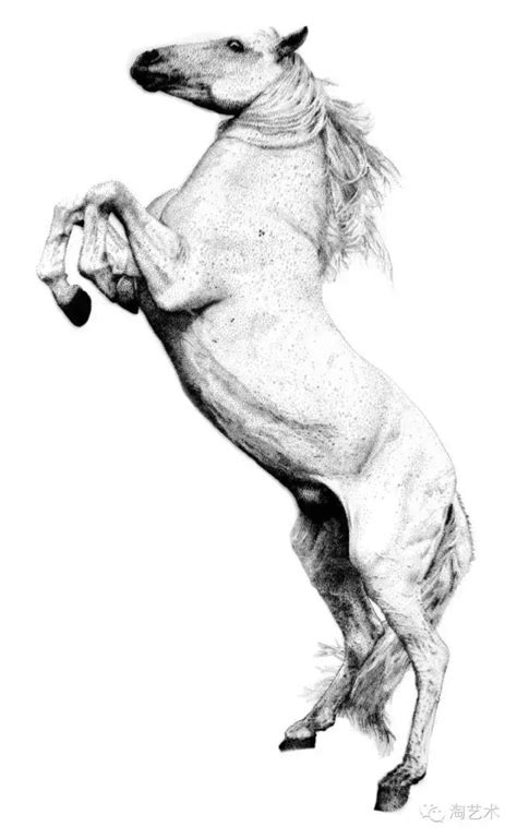 這些雕塑竟然由密密麻麻的釘子組成 每日頭條