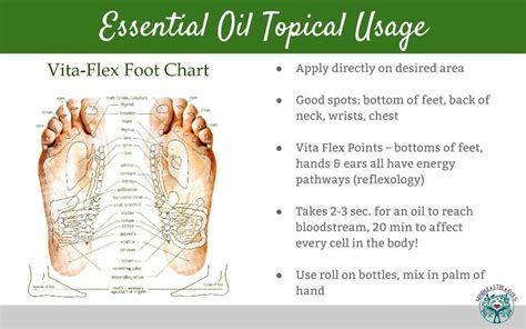 Image Result For Foot Reflexology And Essential Oils Chart Essential