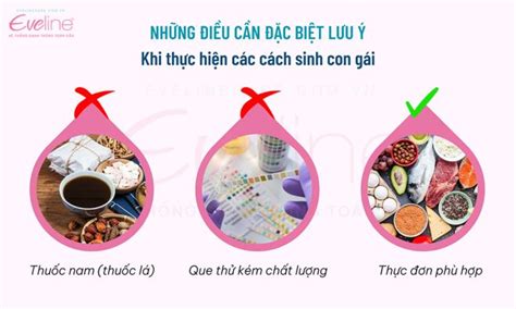 B Quy T Sinh Con G I T Nhi N C C Chu N