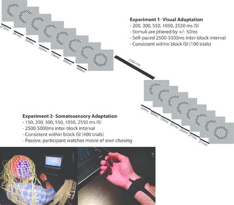 Experimental Paradigms Isi Interstimulus Interval Download