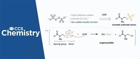 【ccs Chem】湖南大学李家昆团队：过硫酸盐作为磺酸基供体的o 硫酸化反应 Book学术