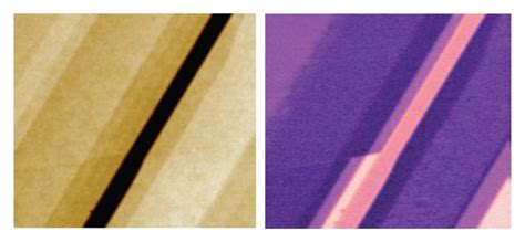 Dimension Nexus Atomic Force Microscopy Generasi Baru Untuk Berbagai