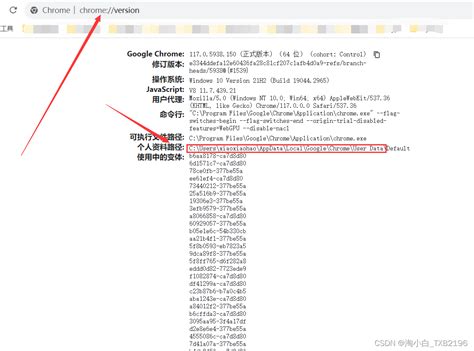 Python使用Selenium库如何绕过Cloudflare验证网页请确认你是不是机器人 selenium cloudflare CSDN博客