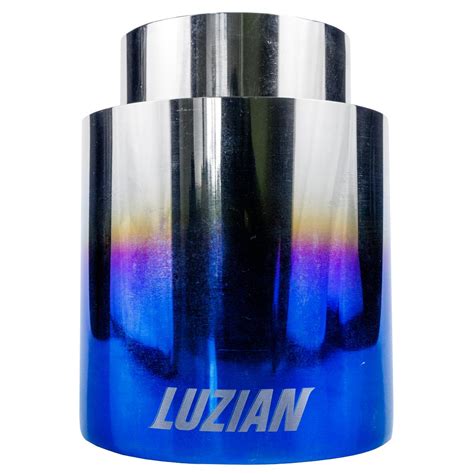 Kit 2 Un Ponteira Em Aço Inox Luzian P018 4 Polegadas Carxparts