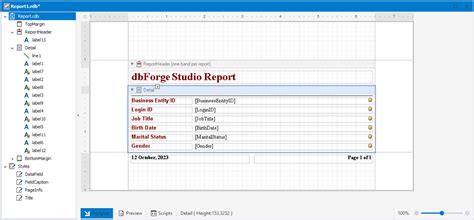 SQL Report Parameters Feature