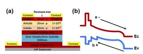 Realizing Room Temperature Ultra Broad Spectrum Photodetection By A Single Photodetector