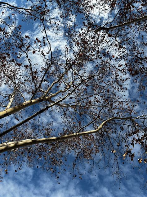 Piotr Kruczkowski Posted On Linkedin