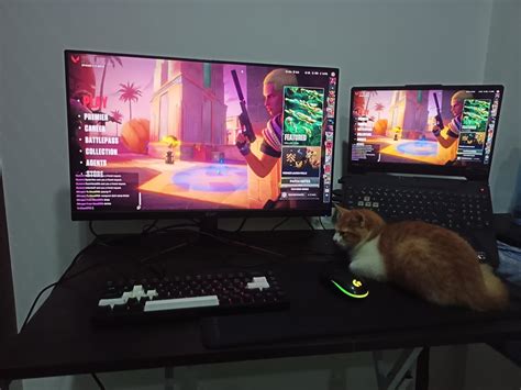 Rate My Setup Also Shes A Very Good Game Assistant Rindiangaming