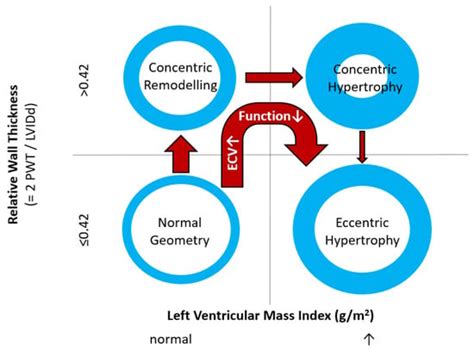 Hypertensive Heart Disease—the Imaging Perspective