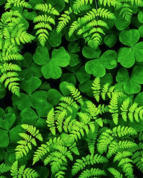 Sustainability Green Inspiration Alfatech Alfatech