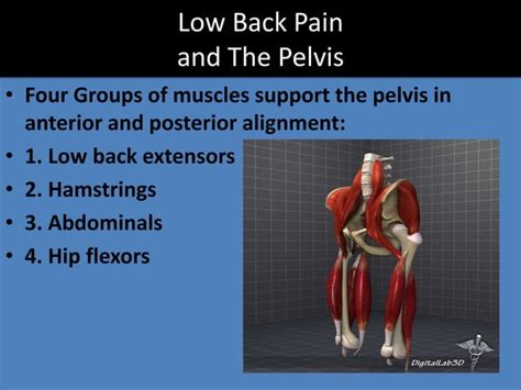 Low Back Dysfunction For Acute And Chronic Injuries Ppt