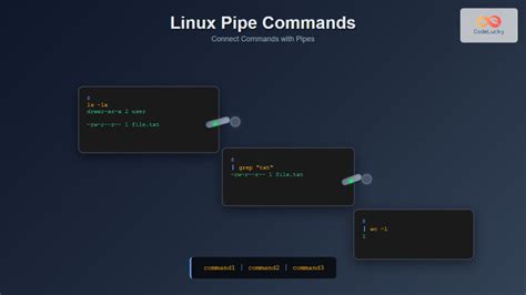 Cat Command In Linux Complete Guide To Display And Concatenate Files Codelucky