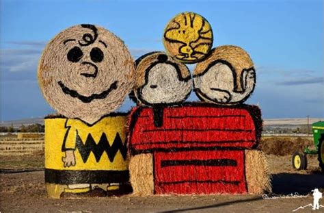 Hay Bail Art Fun Hay Bale Art Ideas Hay Bale Fall Decor Hay Bale Art