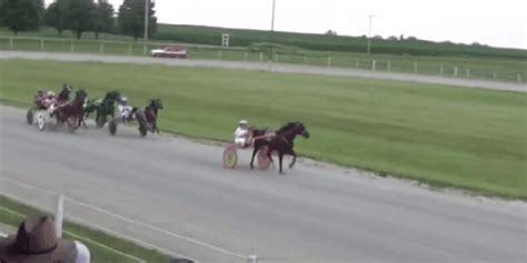 Video Martins Breaks World Record Again Bernews