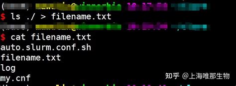 Linux命令重定向详解 知乎