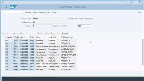 Sap S4hana Profit Center Table Cepc