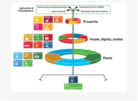 2 Sdgs Three Tiered Structure And Links To Eco Agri Food Systems Download Scientific Diagram