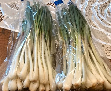 島らっきょうを食す ️葉の部分は Shinning