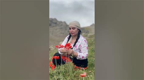 دختری در حال جیدن گل لاله Youtube