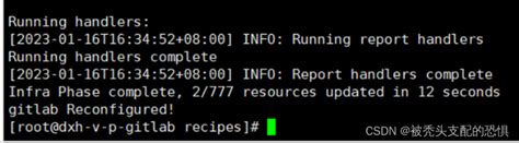 Linux搭建gitlab服务器 Csdn博客