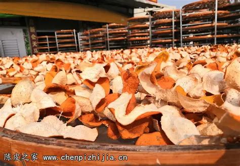 家庭晒陈皮和储存的正确方法 陈皮之家