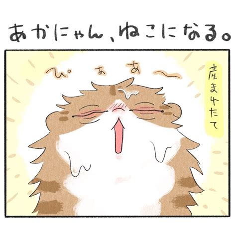 あかにゃん、ねこになる。 │ もふもふびより