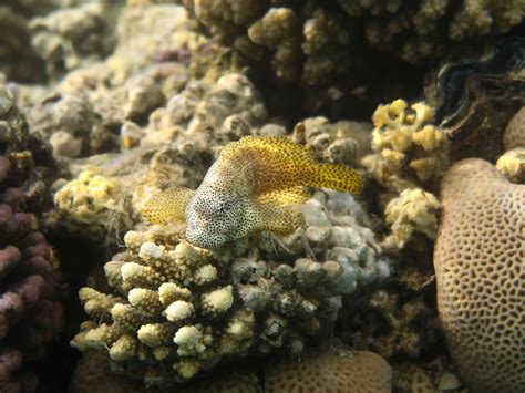 Alison Middleton Mayers Photography