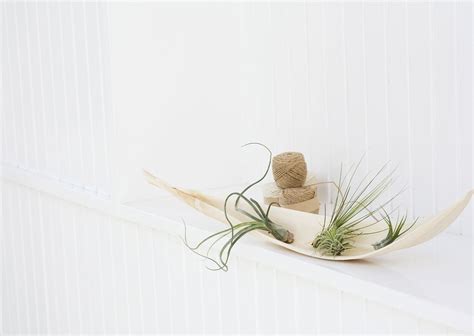 Composition Grass Plate And Thread Free Photo Rawpixel