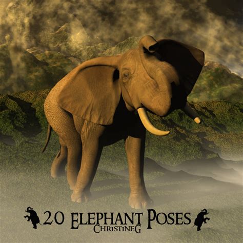 Cg Elephant Poses 3d Figure Assets Prime 4 99 Christineg