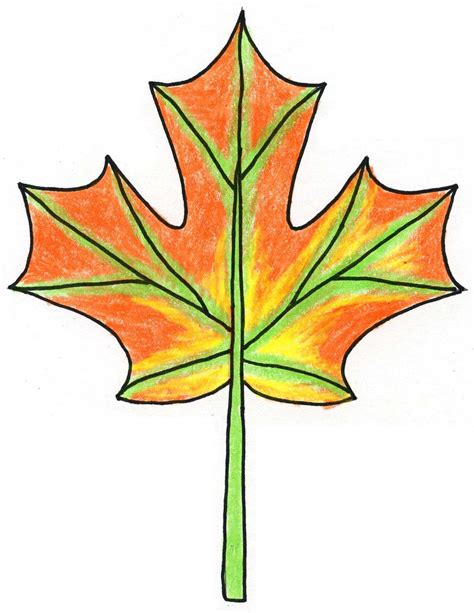 Fall Leaves Drawing Easy