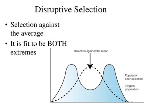 Ppt Evolution Powerpoint Presentation Free Download Id 1979724