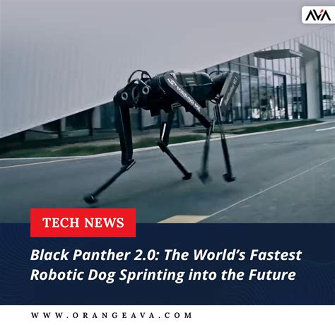 Robotics Innovation Ai Engineering Blackpanther20 Biomimicry Techadvancements Ava