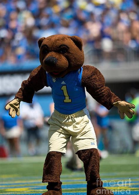 Ucla Mascot Logo