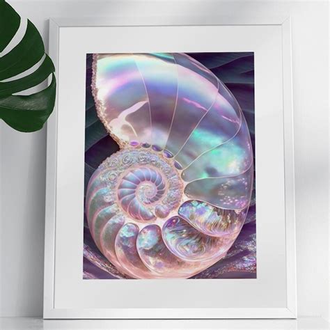 Nautilus Shell Art Etsy