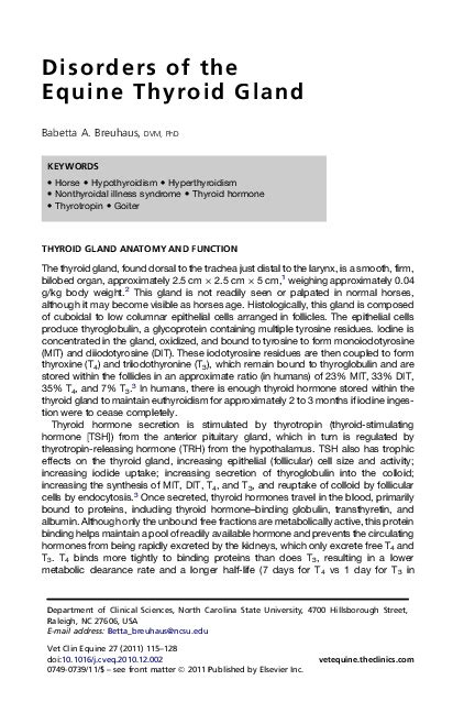 Pdf Disorders Of The Equine Thyroid Gland Keywords Horse
