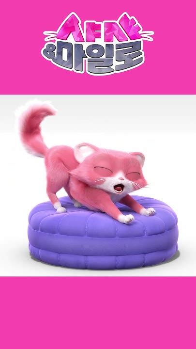 잠자는 베개 위의 샤샤💤 Cat 고양이 샤샤앤마일로 샤샤 Shorts Youtube