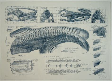 Xenomorph Physiology