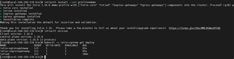 【云原生】kubernetes（k8s）istio Gateway 介绍与实战操作 Csdn博客