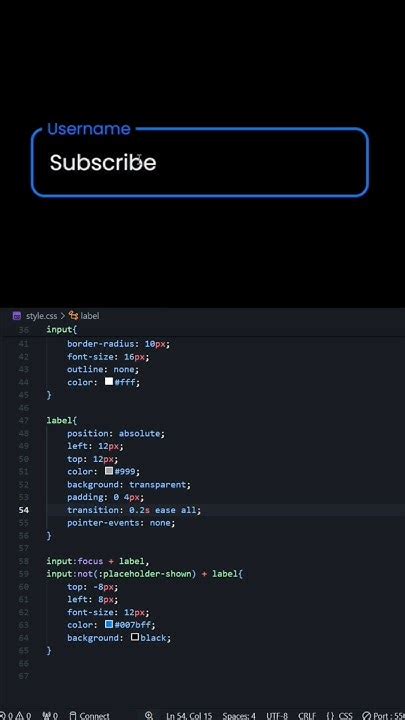 Floating Label Input Using Only Html And Css 💻 No Javascript Coding