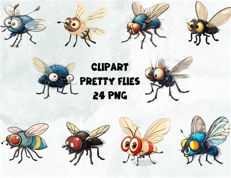 Cute Fly Clipart Png 24 Funny Flies Illustrations Cartoon Insects