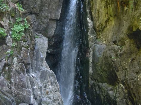 2023年11月stanley Ghyll Force Waterfall景点攻略 Stanley Ghyll Force Waterfall门票预订地址图片 Stanley Ghyll