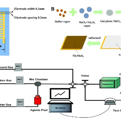 Athe Geometry Of The Electrodes Of The Sensor B The Process Of