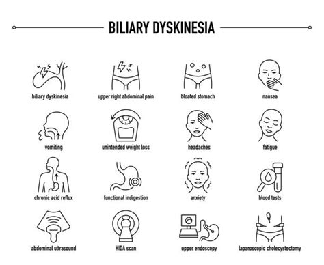 70 Biliary System Illustrations Stock Illustrations Royalty Free