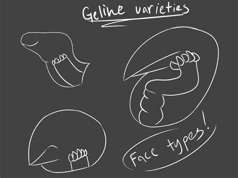 Geline Face Types By Z0ibzy On Deviantart
