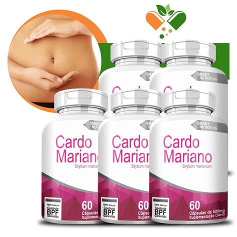 Kit Com 5 Potes Cardo Mariano 500mg 60 Cápsulas Droga Raia