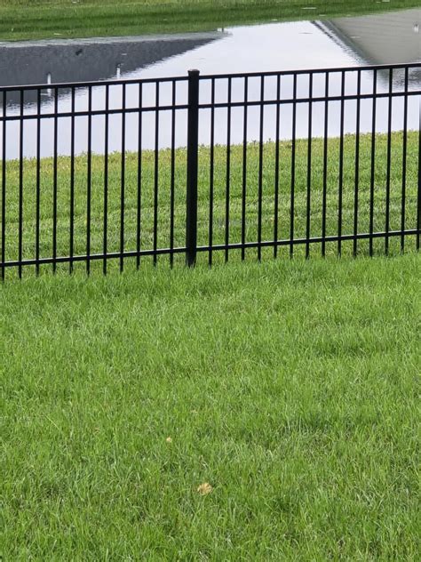 Its Incredible How A Moment Of Pause Can Reveal Beauty In Unexpected Places Early This Week I