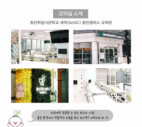 청년취업사관학교