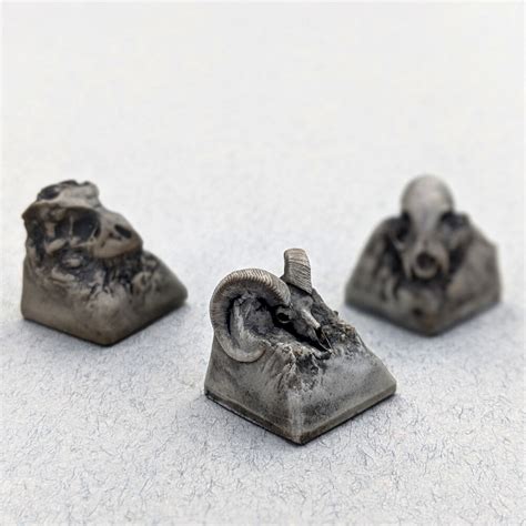 Fossil Album On Imgur