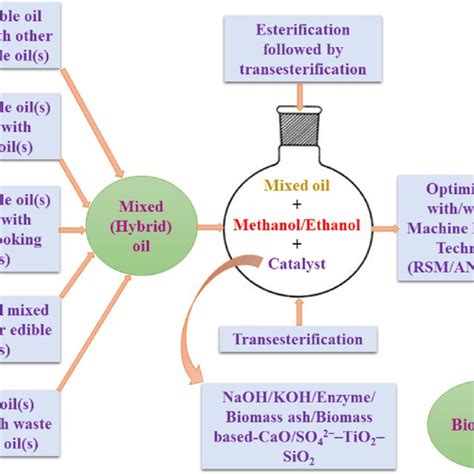 A Flowchart Showing The Production Of Biodiesel From Various Mixed Oils